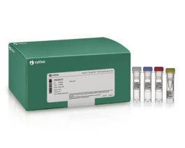TEMPLIPHI 100AMPLIFICATION KIT (STORE IN DEEP FREEZER : -70 DEG C)